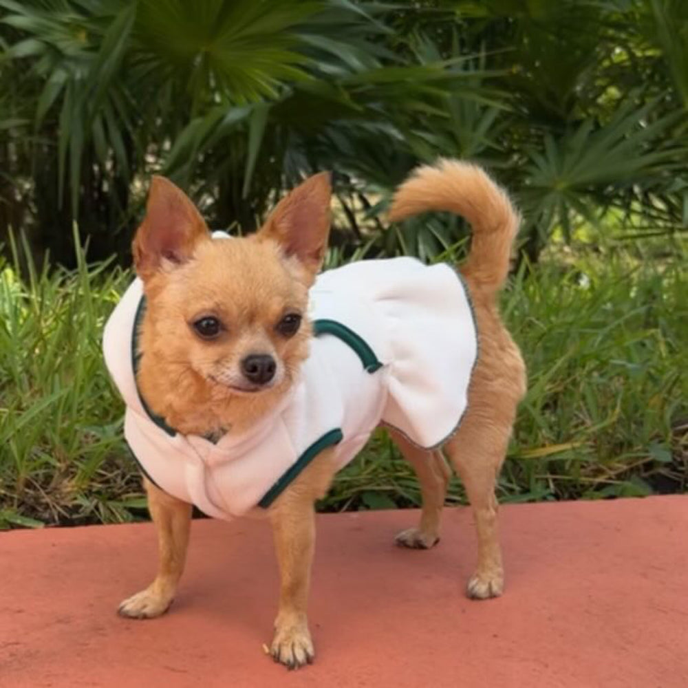 Sporty Pooch | Stylish Activewear for Small and Medium Dogs