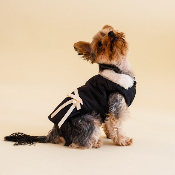 Coco Jacket | Elegant Faux Fur Trim Pet Jacket | Furbaby Couture