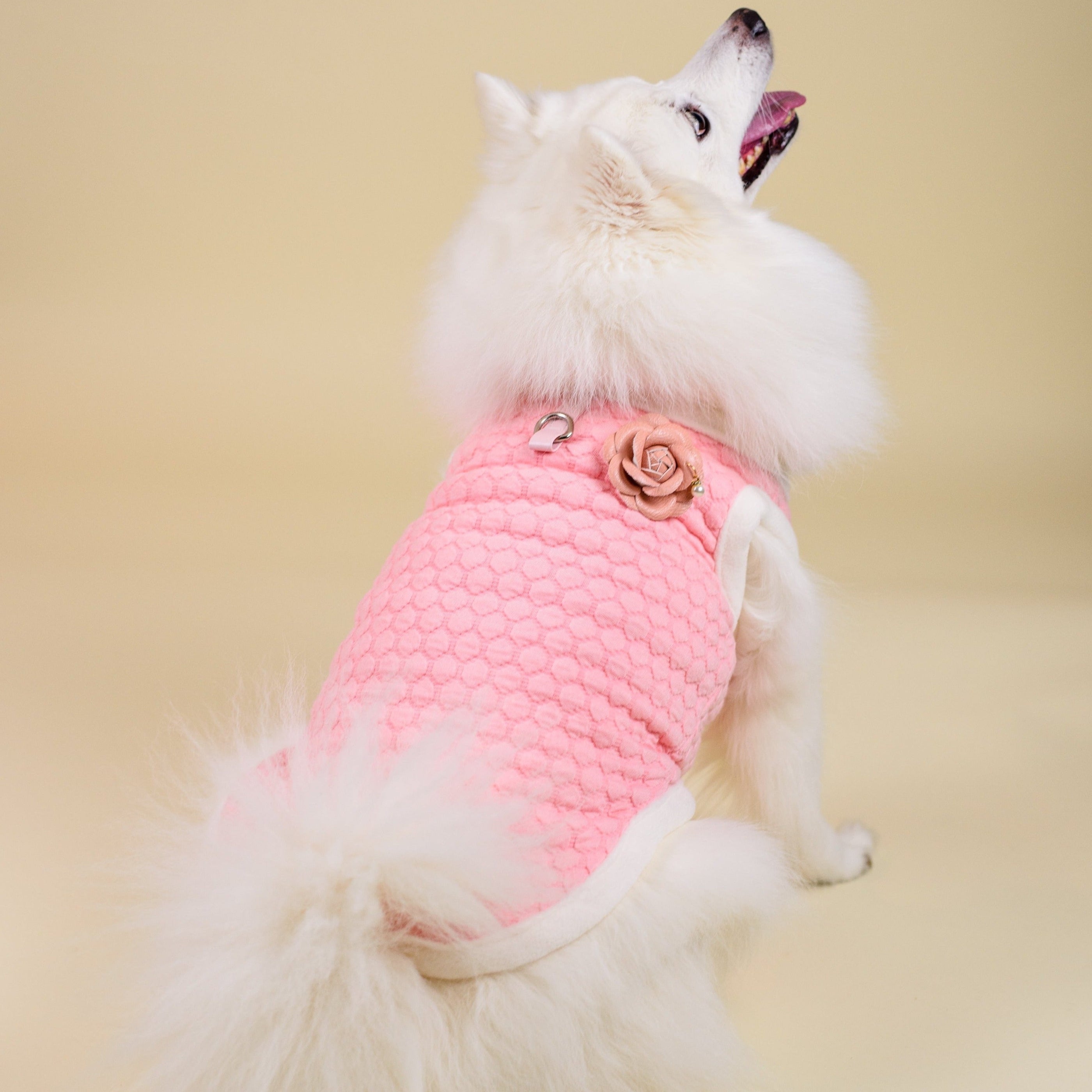 Coco Harness Vest | Stylish Pet Apparel | Furbaby Couture