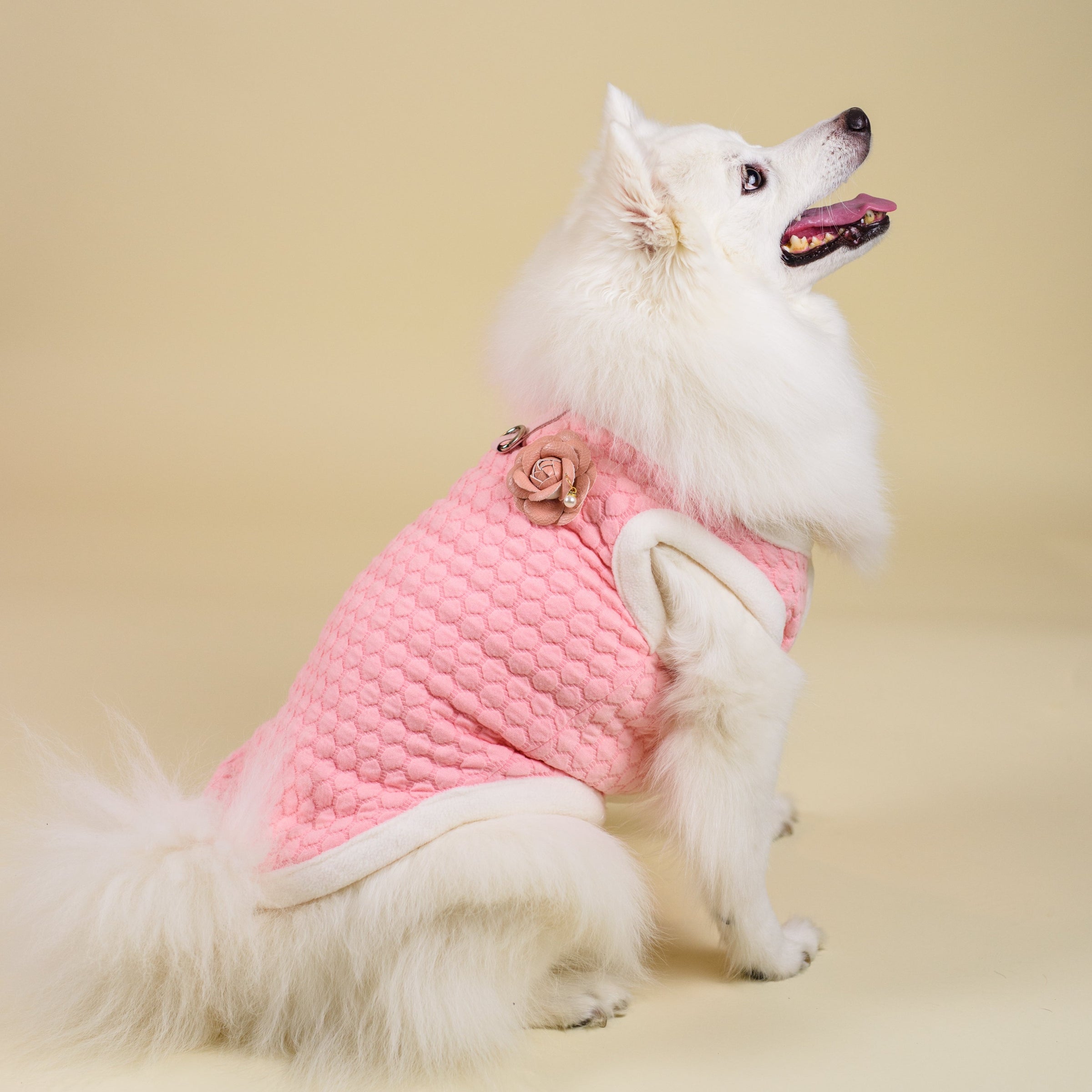 Coco Harness Vest | Stylish Pet Apparel | Furbaby Couture